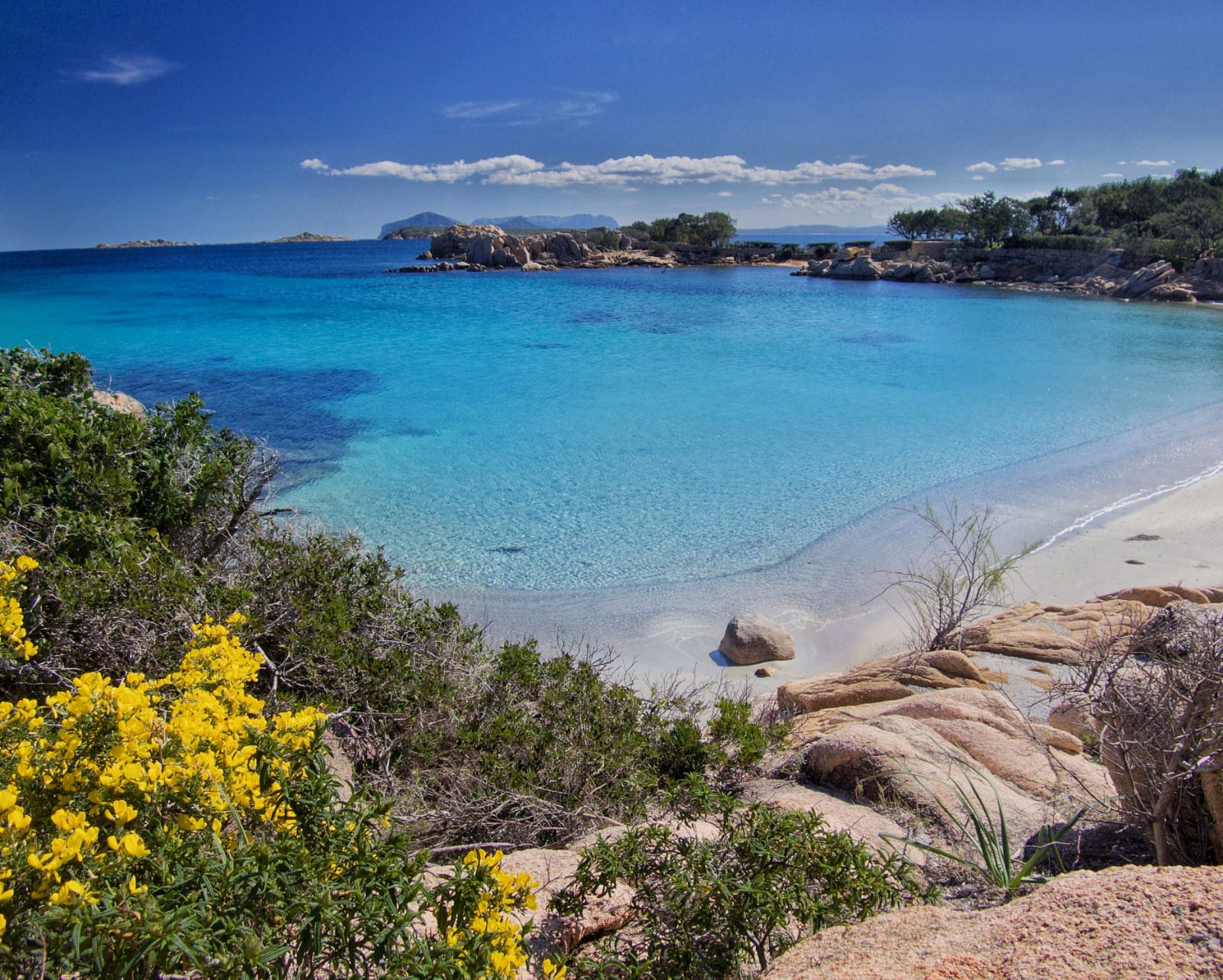 Fotogalerie – The Square Cannigione